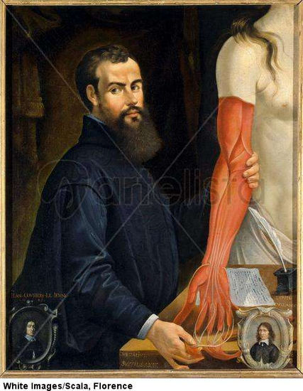 Portrait of Andre Vesale (Andrea Vesalius or Andries Van Wesel ...