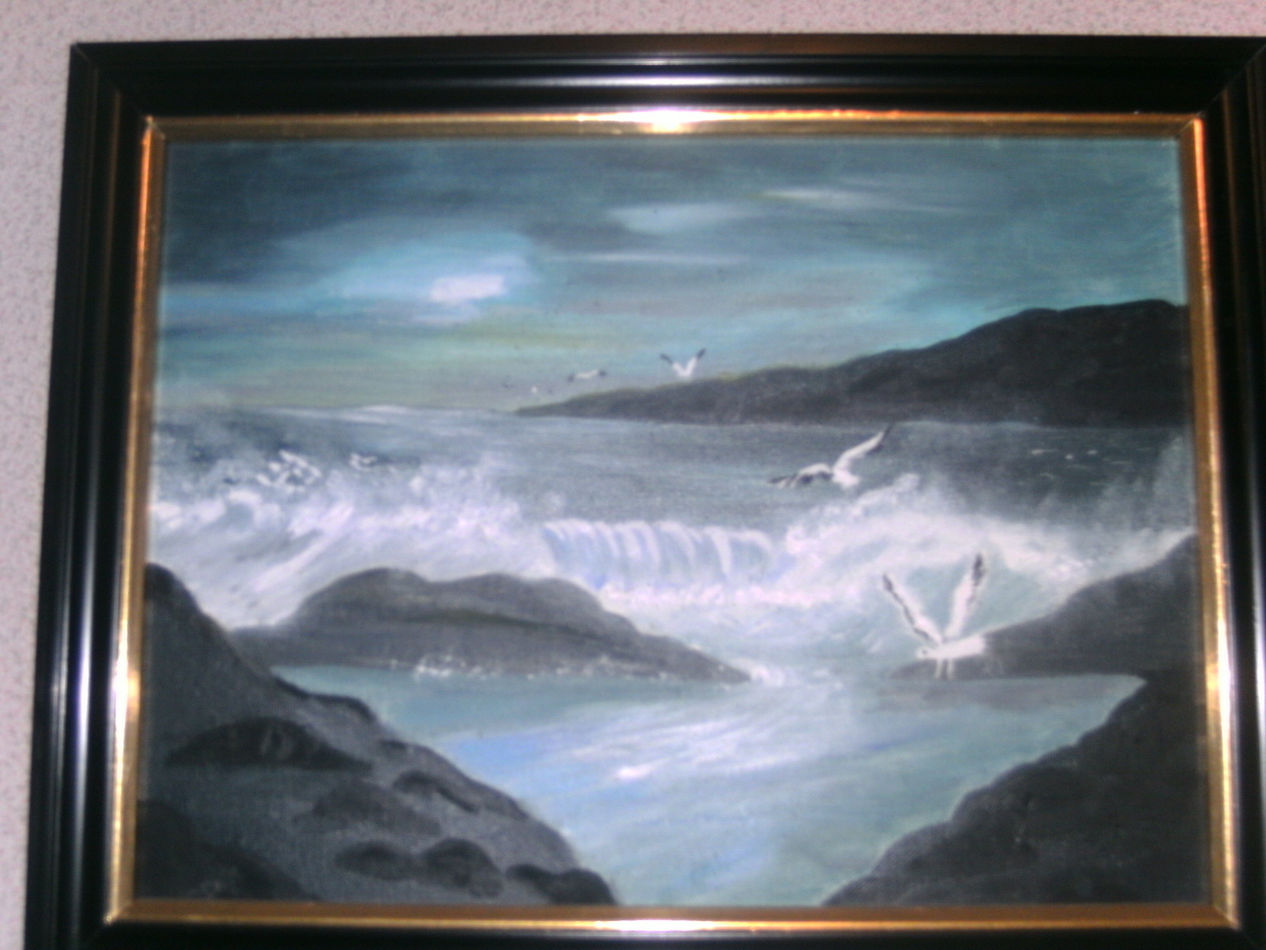 Playa Rodillo, Dánissa Santana A. - Artelista